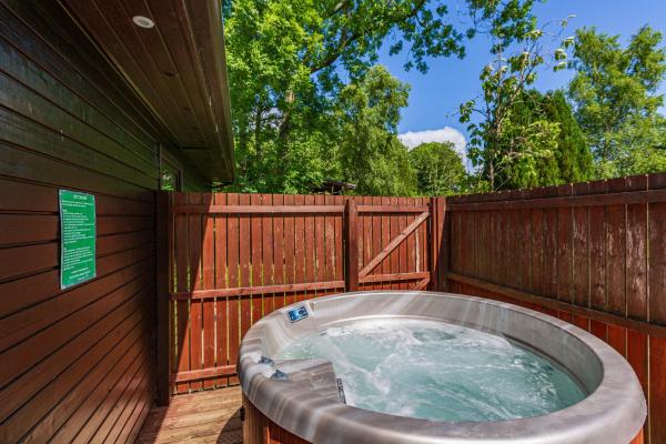 Bluebell Lodge 3 With Hot Tub - Newton Stewart