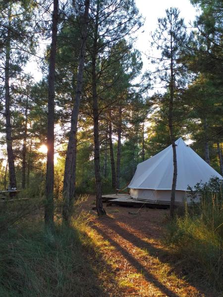 Forest Days - Catalonia