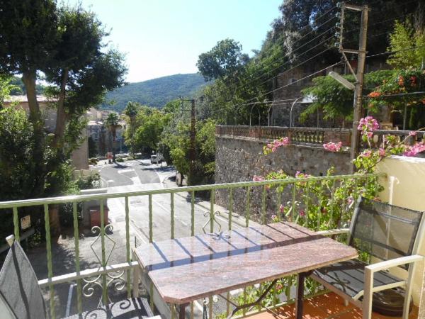 Studio Confortable Pour 2 Pers, Animaux Acceptés, Parking, Wifi - Fr-1-703-69 - Amélie-les-Bains-Palalda