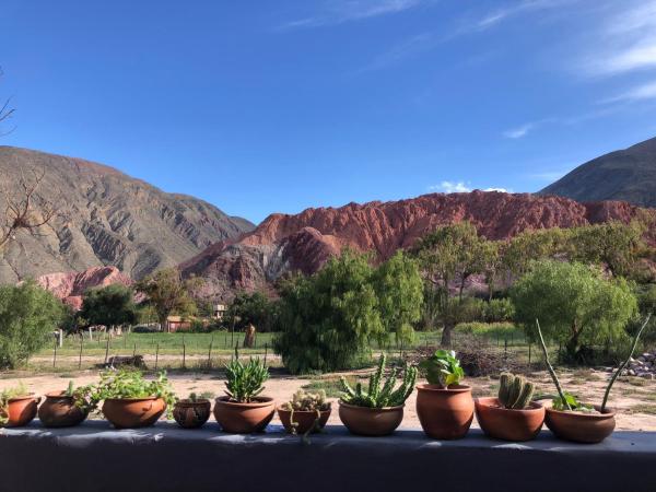 Las Lavandas Purmamarca - Jujuy