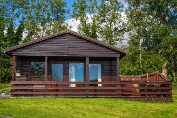 Birch Lodge 20 With Hot Tub - Scotland