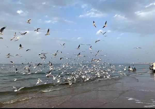 Muscat Homestay & Hospitality - Muscat