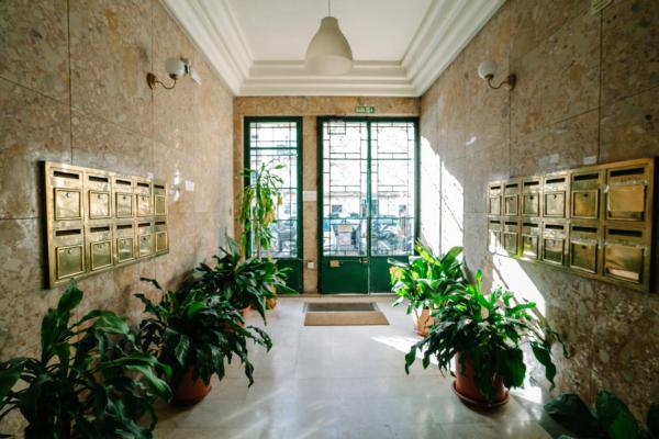 Alameda Apartments & Rooms - São João