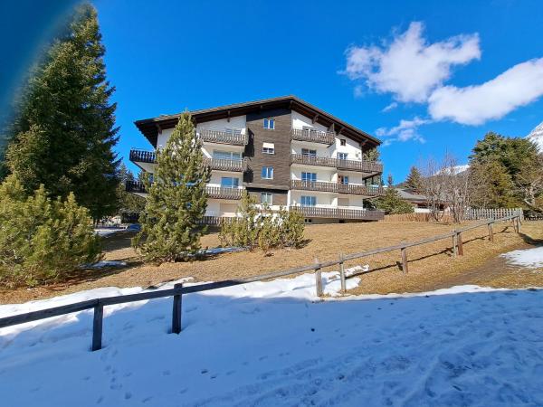 Damiez (371 Br) - Lenzerheide