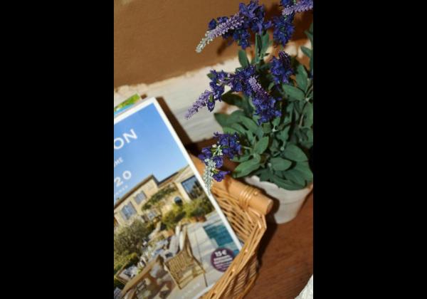 Neu! Ferienwohnung Romantique Radebeul - Wilsdruff