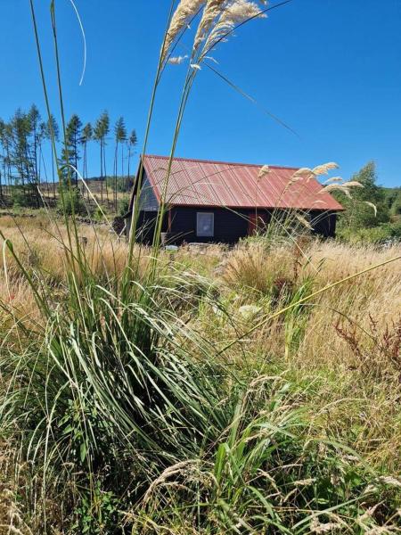 The Bothy In The Park - Callander
