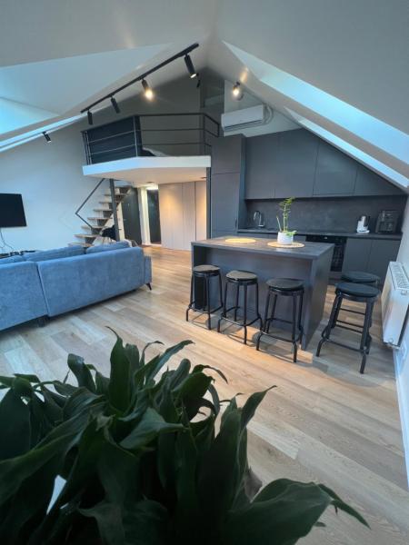 Loft 1 Bd Castle Apartament With Free Parking - Kaunas