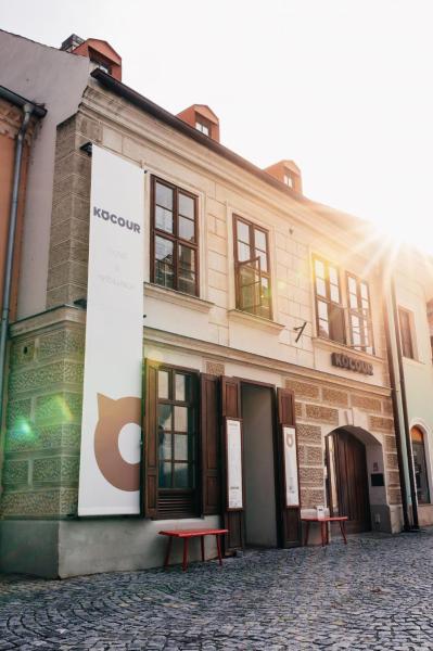 Hotel Kocour - Czech Republic