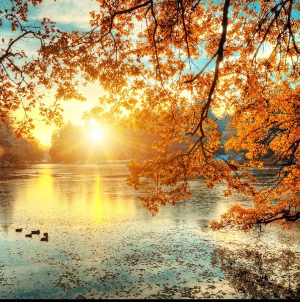 La Vie Là - Chartres