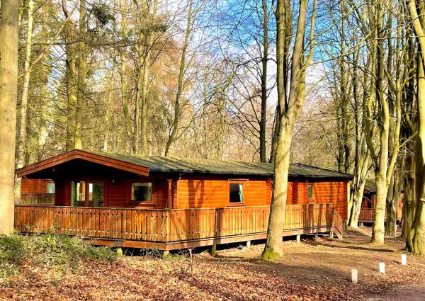 Bamboo Retreat - Louth