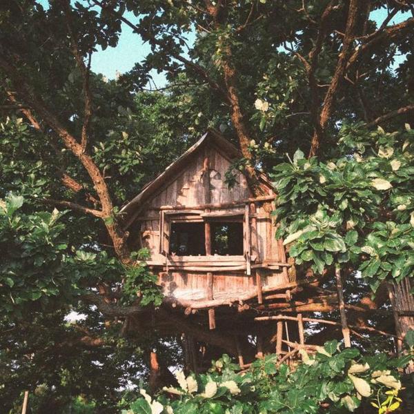 Mizuno San's Tree House - Gwangju