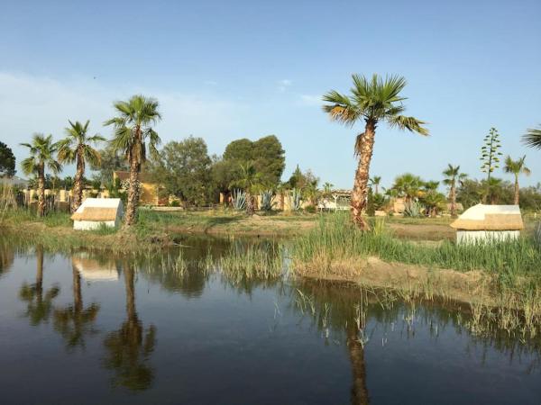 Mas De L Isle Sauvage Aigues Mortes - Saint-Laurent-d'Aigouze