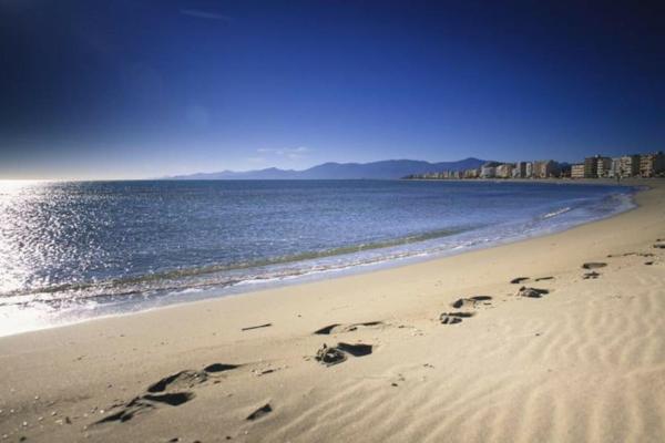 T2 Vue Mer Terrasse Sud Plage 50m Canet-plage - Canet-en-Roussillon