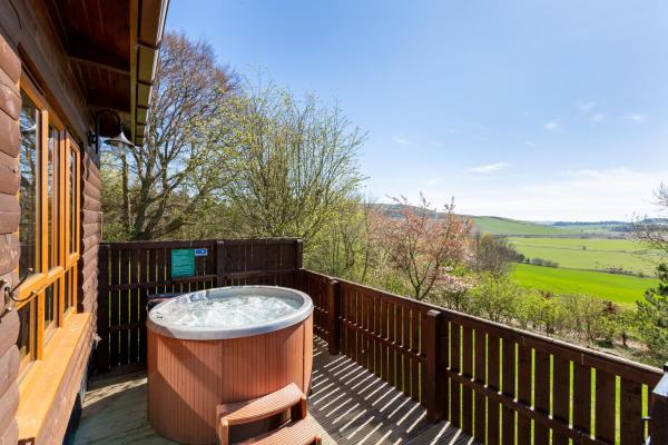 Mountain Ash Lodge With Hot Tub - イギリス ダンディー