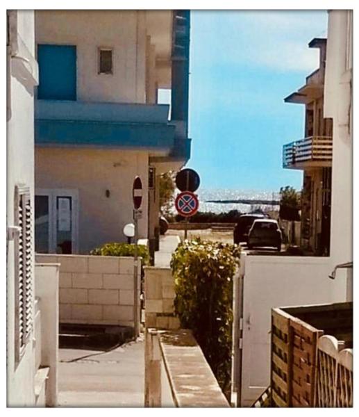 Scala Di Furno - Ginepro - Porto Cesareo