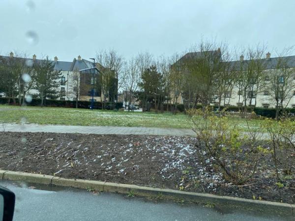 Exquisite Modern Homely 2 Bed Apartment With On-street Parking, Super Fast Wifi & 5 Mins Drive To Science & Business Parks - Cambridge