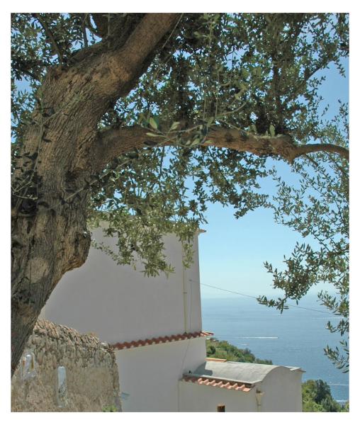 Al Poggio Antico - Amalfi