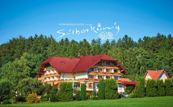Silberkönig Schwarzwald Hotel & Restaurant Ringhotel - Elzach