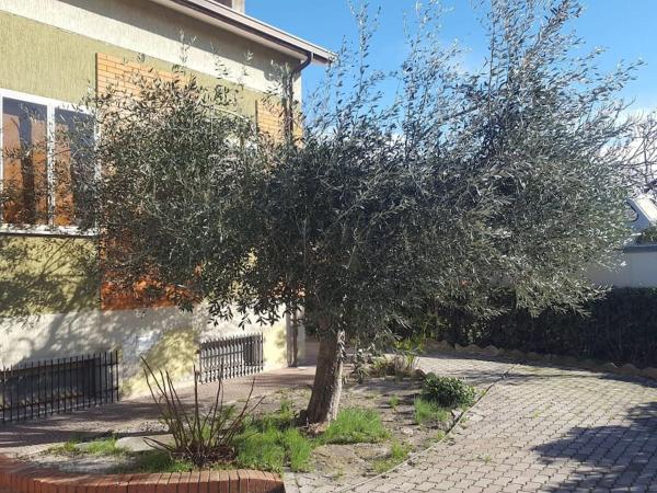 Appartement Côte Adriatique - Fano