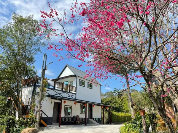 Fei Ying Homestay - 허우리 구