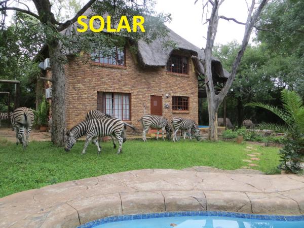 Kruger Safari Animal Encounter - Marloth Park