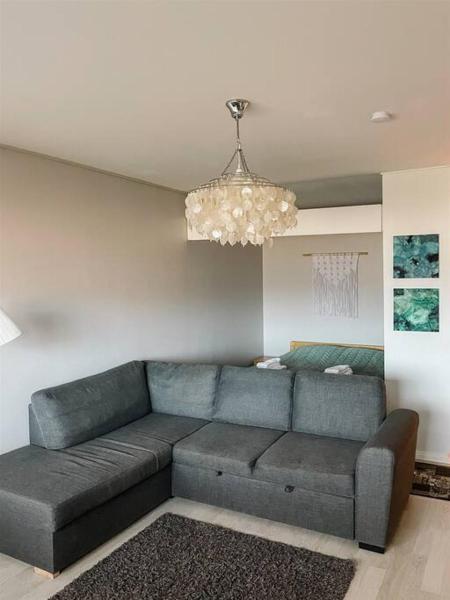 Viihtyisä Yksiö Lähellä Palveluita. (Himos 7,9 Km) - Jämsä