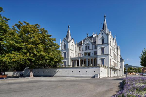 Château De L'aile- Boutique Suites - Vevey
