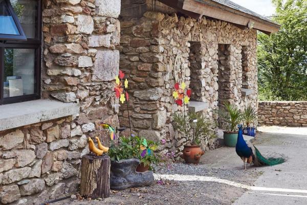 Kingsford Renovated Old Cottage - Wexford