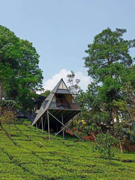 Vythiri Stream View - Kerala