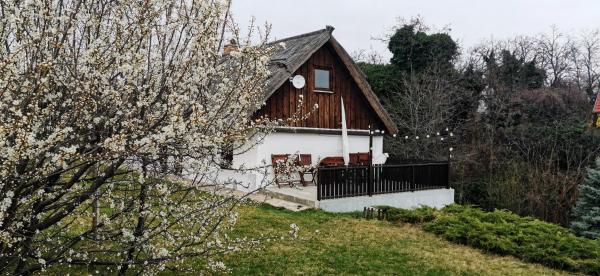 Hét Fenyő Vendégház / Seven Pines Holiday House - Velencei-tó