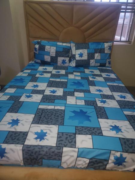 Miraph Apt. With Starlink Wifi - Abuja