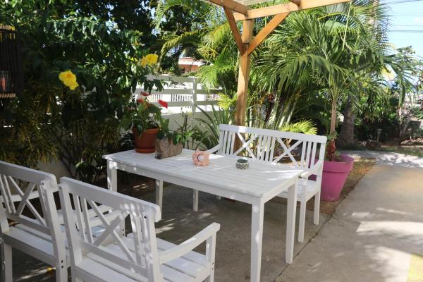 Le Colibri Et Le Frangipanier - Martinique