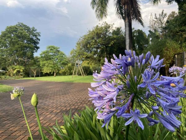 Ilanda Guest House - 白河
