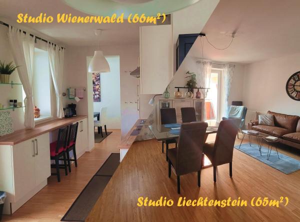 Studios Am Wienerwald - 바덴바이빈