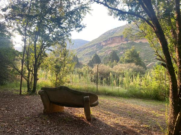 Golden Cove - Clarens