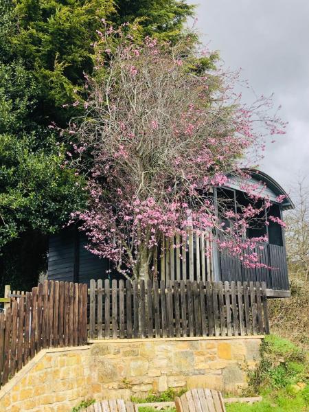 The Cherry Tree Gypsy Wagon - Chipping Norton