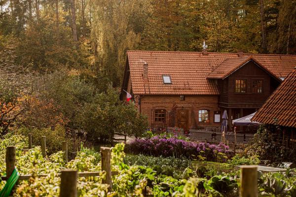 Tabun - Poland