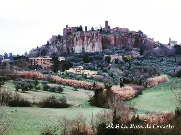 La Rosa Di Orvieto - Bolsena