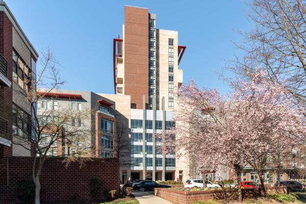 Kasa Alexandria Washington - Washington