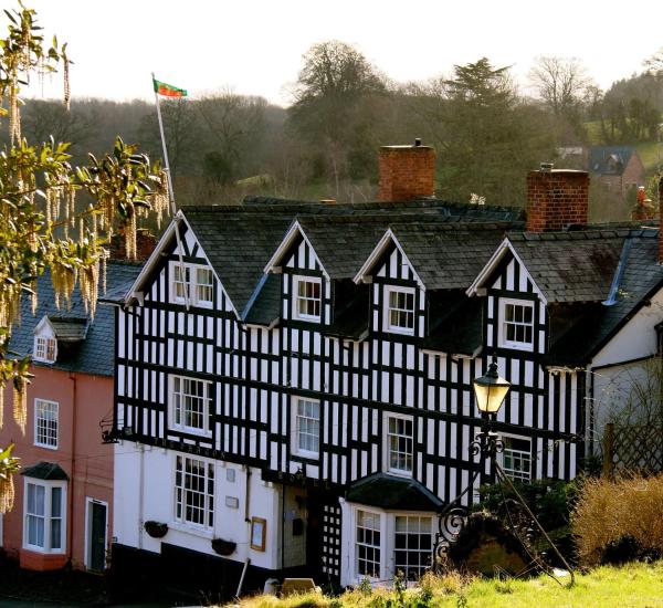 The Dragon Hotel - Welshpool