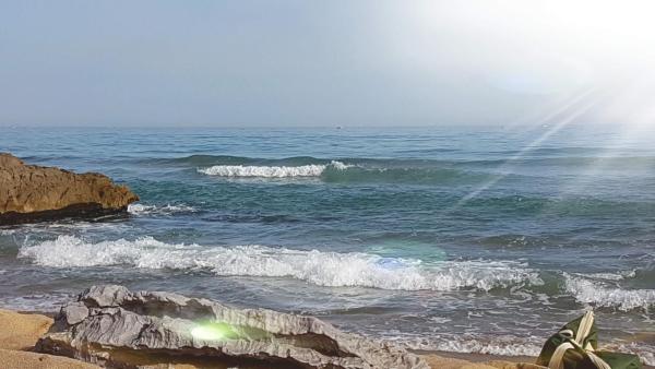 Bambou Nature - Narbonne