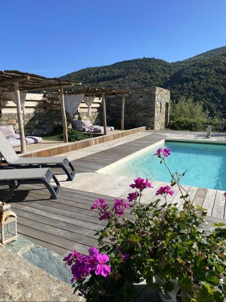 Chambres D'hôtes Et Studios De Charme - A Mandria - Capo Corso