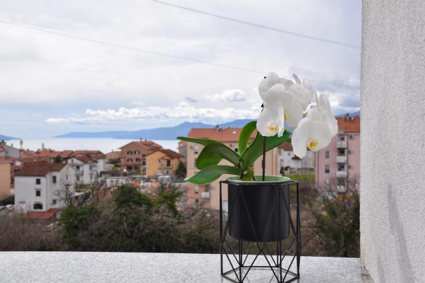 Apartman Totale - Rijeka