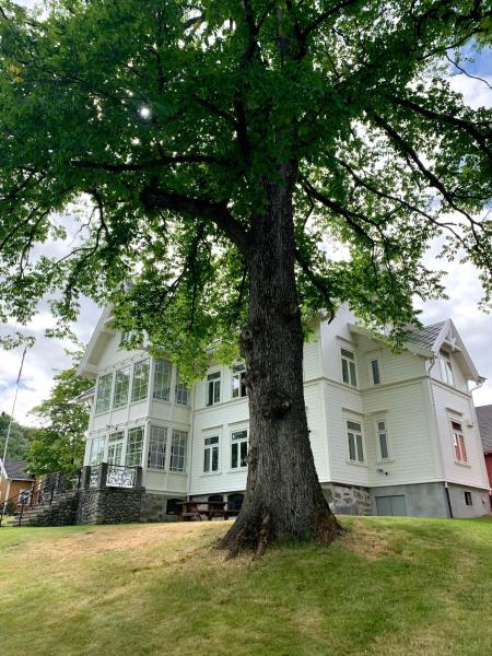 Storsand Gård - Norway