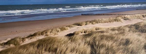 « A La Mer Des Caps » - Calais