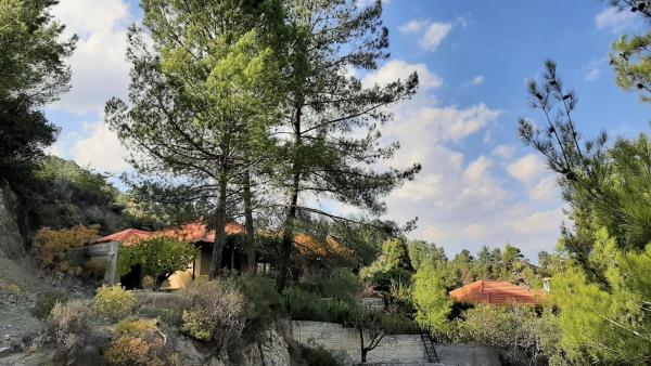 Irene Cottage - Галата