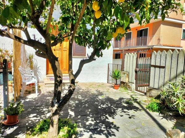 Lemon Casa Con Giardino - Monterotondo