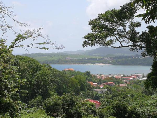 Le Cacaoyer - Martinica