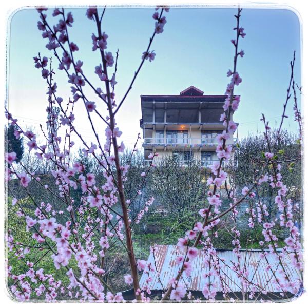 La Heim Hostels - Himachal Pradesh