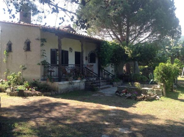 Cottage In Sykia Beach - Sarti